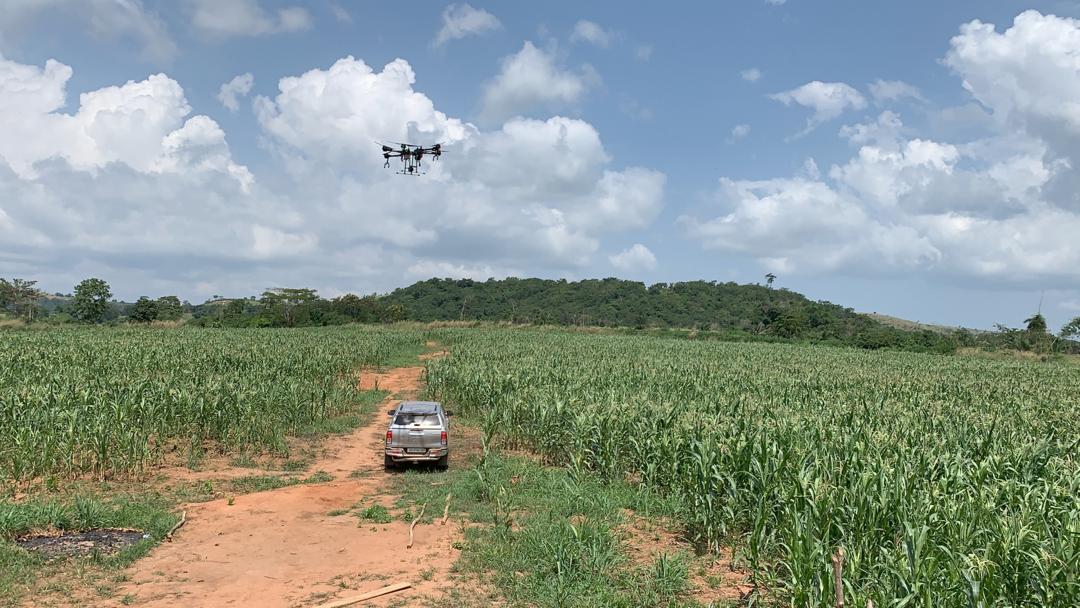 GGF Farm – Changing Agriculture in Ghana